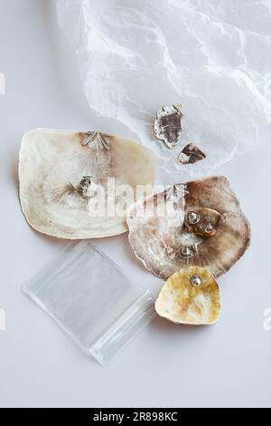 Handmade seashell earrings and tools for creating. Crafting eco ...