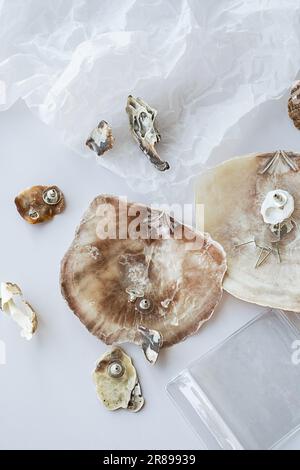 Handmade seashell earrings and tools for creating. Crafting eco ...