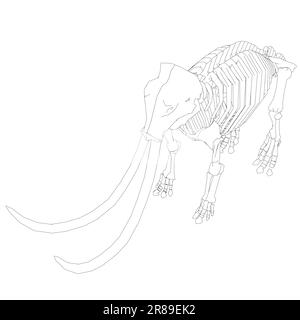 Vector Illustration of outline Mammoth Skeleton on Isolated White ...