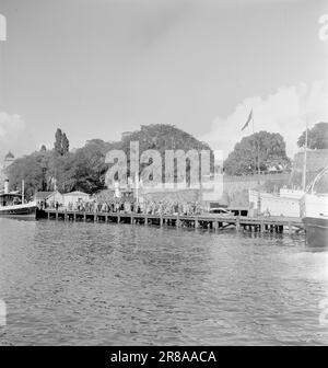 Actual 16-1950: The fjord's included swans.Steamboats in the Oslofjord ...