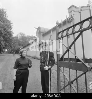 Current 34-9-1960: Art in the king's stable Prize winner Else Hagen is ...