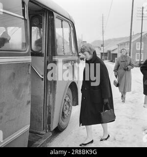 Actual 6-7-1960: On old plots Anne-Marie Rockefeller from Søgne ...