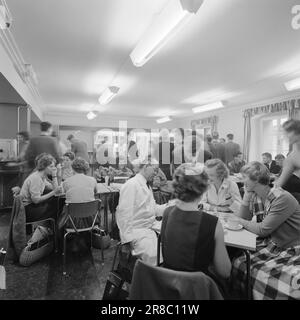 Current 40-1-1960: Professor becomes student A 56-year-old professor in ...