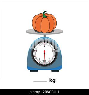 Analog scale pumpkin. isolated on white background. vector illustration ...