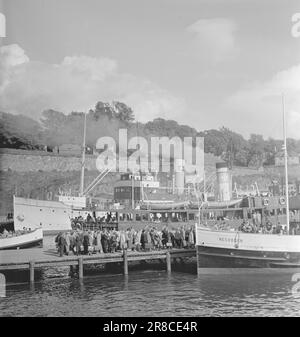 Actual 16-1950: The fjord's included swans.Steamboats in the Oslofjord ...