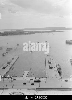 Actual 16-1950: The fjord's included swans.Steamboats in the Oslofjord ...