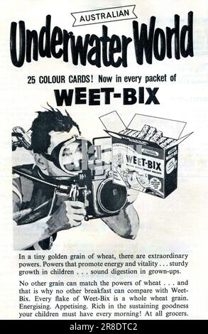 Weetabix breakfast cereal in a white bowl with milk Stock Photo - Alamy