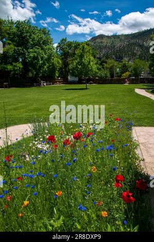 Mormon Station State Historic Park is a great place to visit for ...