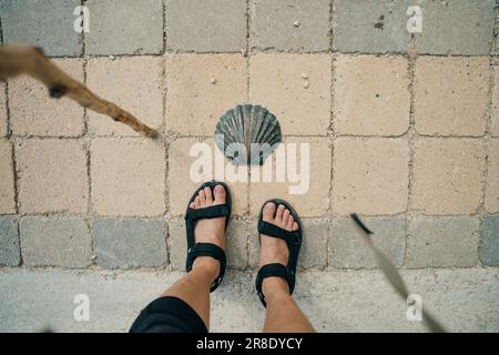 Scallop shell on the pavement in front of Vezelay abbey, St Mary ...
