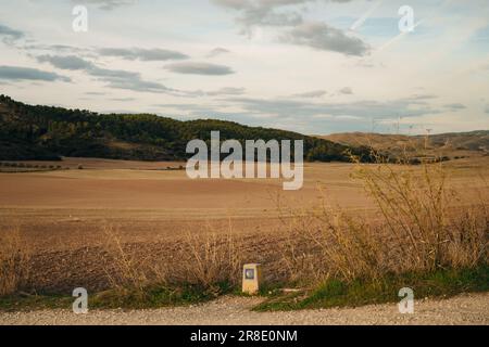 Road sign totem with yellow shell, that guides pilgrims along the ...