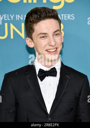 Andrew Feldman attends the premiere for "No Hard Feelings" at AMC ...