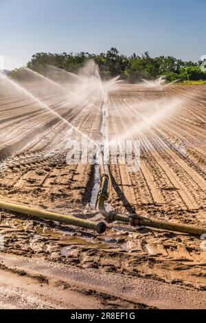 Large farm irrigation sprinkler system Stock Photo - Alamy
