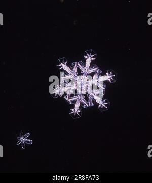 Snow snowflake crystals close-up. Snowy background Stock Photo - Alamy