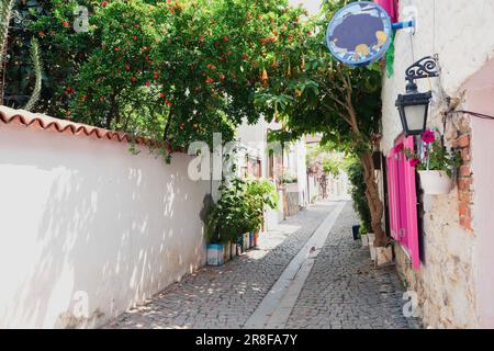 Sigacik streets, seaside town, quiet summer holiday, flowery streets ...