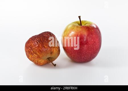 Apples in various stages of ripeness, against a white background Stock ...
