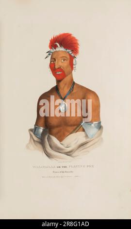 Playing Fox, Prince of the Fox Tribe [] by James Otto Lewis, born ...