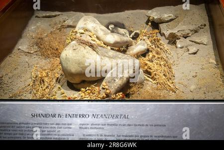 Model reconstruction of Neanderthal man, National Museum of ...