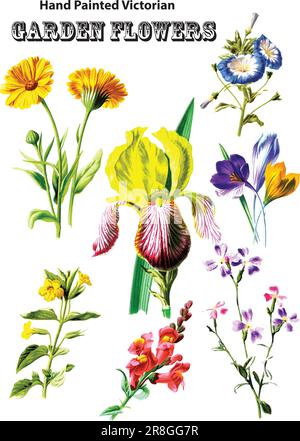 Colorful and beautiful images of hand-painted garden flowers from the ...