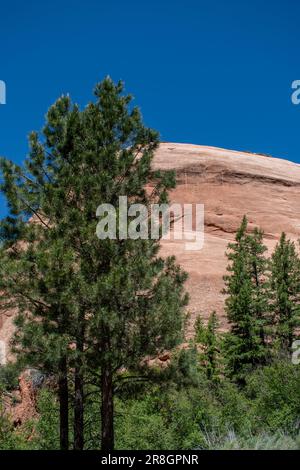 Buffalo Pass, Navajo Nation Stock Photo - Alamy