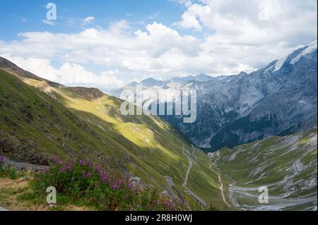 The Italian side of the Stelvio Pass, the legendary mountain route up ...