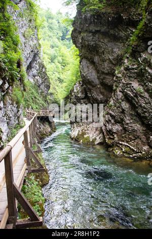 Radovna mountain river scenic nature abstract in the Vintgar Gorge in ...