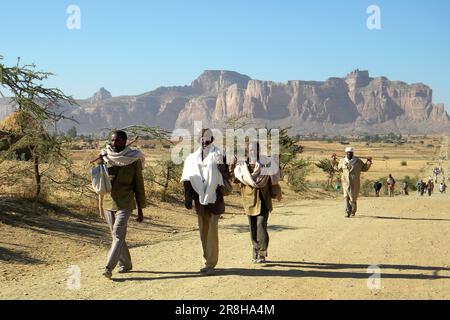Daily Life. Tigray Valley. Surrounding of Wukro. Tigray. Ethiopia Stock ...