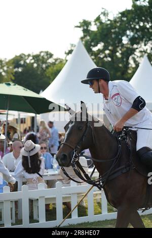 A polo player in front of audience Stock Photo - Alamy