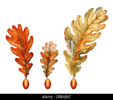 Watercolor autumn harvest illustration. fall pumpkin and leaves ...