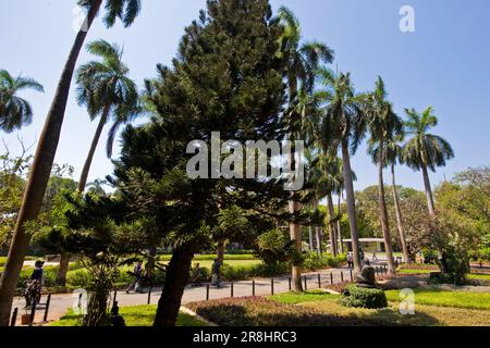 Garden. Chatrapati Shivaji Maharaj Vastu Sangrahalaya. Prince of Wales ...