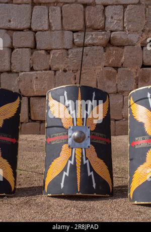 Line of roman shields supported on a javelin. Scuta amd pila, Ancient ...