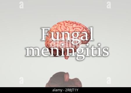 Background of fungal meningitis,Meningitis symptoms,Bacterial ...