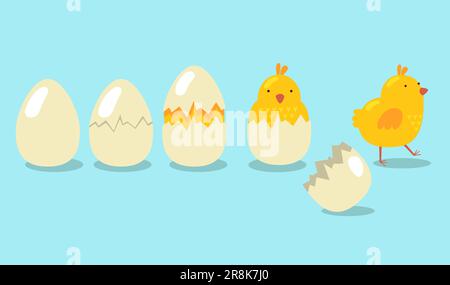 Chicken hatching stages. Yellow chick hatch from broken shell egg ...