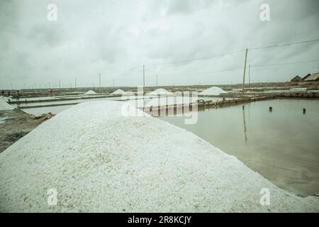 Salt farm in Sri Lanka . Salt farming in Sri Lanka. Salt production ...