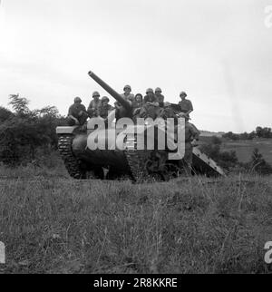 M10 Wolverine - Französisches Heer / French Land Forces (Army) / Armée ...