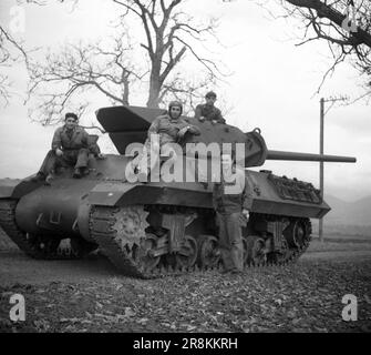 M10 Wolverine - Französisches Heer / French Land Forces (Army) / Armée ...