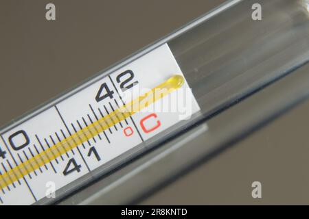 glass alcohol medical thermometer on an isolated background Stock Photo ...