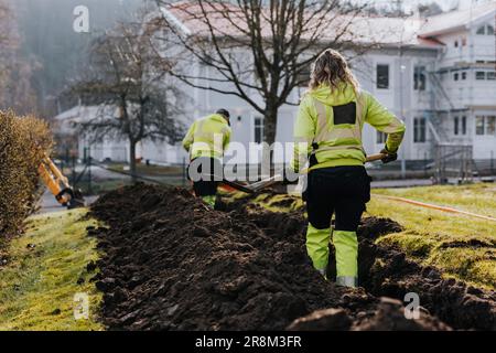 Male and female workers digging trench Stock Photo - Alamy