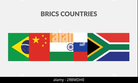 BRICS Countries Rectangle flag icon collection Stock Vector Image & Art ...