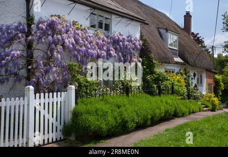 Village cottages with wisteria in Childrey,Oxfordshire,England Stock ...