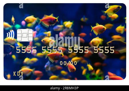 Debit card closeup on transparent background for design purpose Stock ...