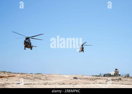 Puma helicopters from 84 Squadron prepare to take off from RAF Akrotiri ...