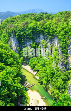 Geibikei in fresh green Stock Photo - Alamy