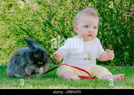 Baby with angora rabbit, domestic rabbit, leash, carrot Stock Photo - Alamy