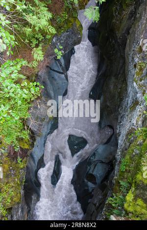 Box Canyon, Mount Rainier National Park, Washington, USA Stock Photo ...