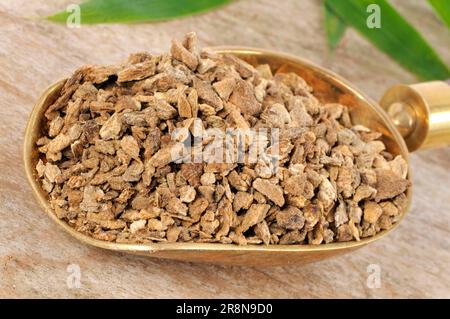 Cup Himalayan embossed root tea (Aucklandiae Radix), Mu Xiang ...