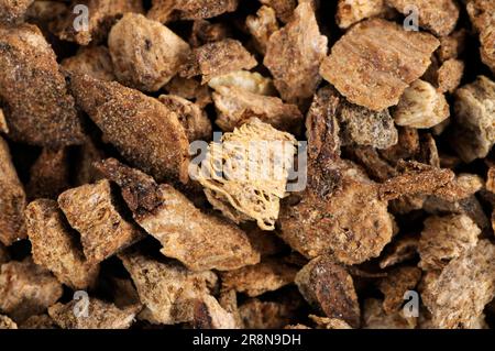 Himalayan crenel root (Aucklandiae Radix), Mu Xiang Stock Photo - Alamy