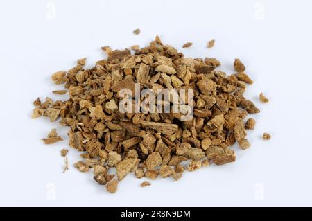 Himalayan embossed root (Aucklandiae Radix), Mu Xiang, cutout, object ...
