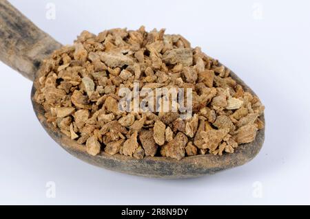 Himalayan crenel root (Aucklandiae Radix), Mu Xiang Stock Photo - Alamy