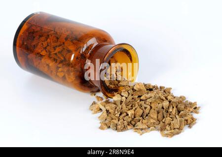 Himalayan embossed root (Aucklandiae Radix), Mu Xiang, cutout, object ...