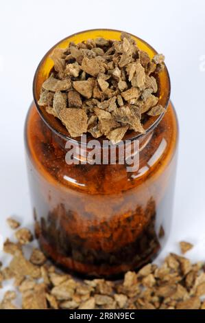 Himalayan crenel root (Aucklandiae Radix), Mu Xiang Stock Photo - Alamy